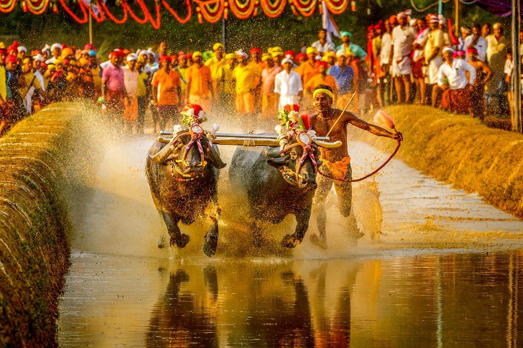 KAMBALA - Scheduled dates and places of Kambala 2025–26